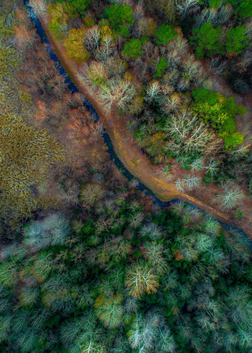 'World From Above' Poster by Stunning Wallpapers | Displate