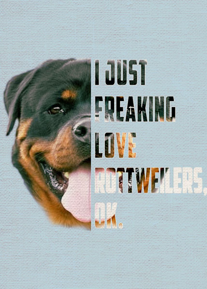 'Rottweiler Posters' Poster by Katty | Displate