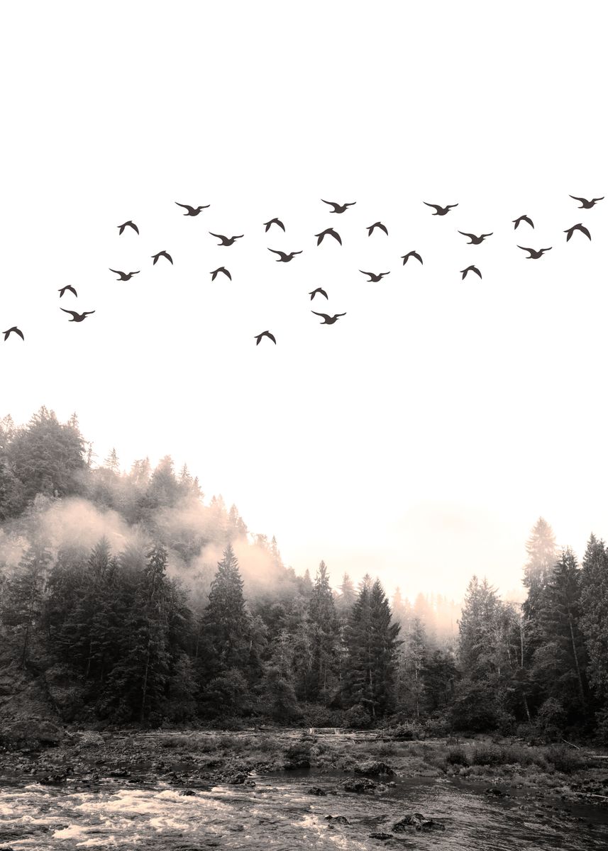 'Birds above the forest' Poster, picture, metal print, paint by VM ...