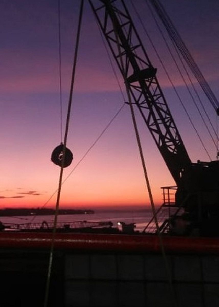 'Crane' Poster, picture, metal print, paint by French | Displate