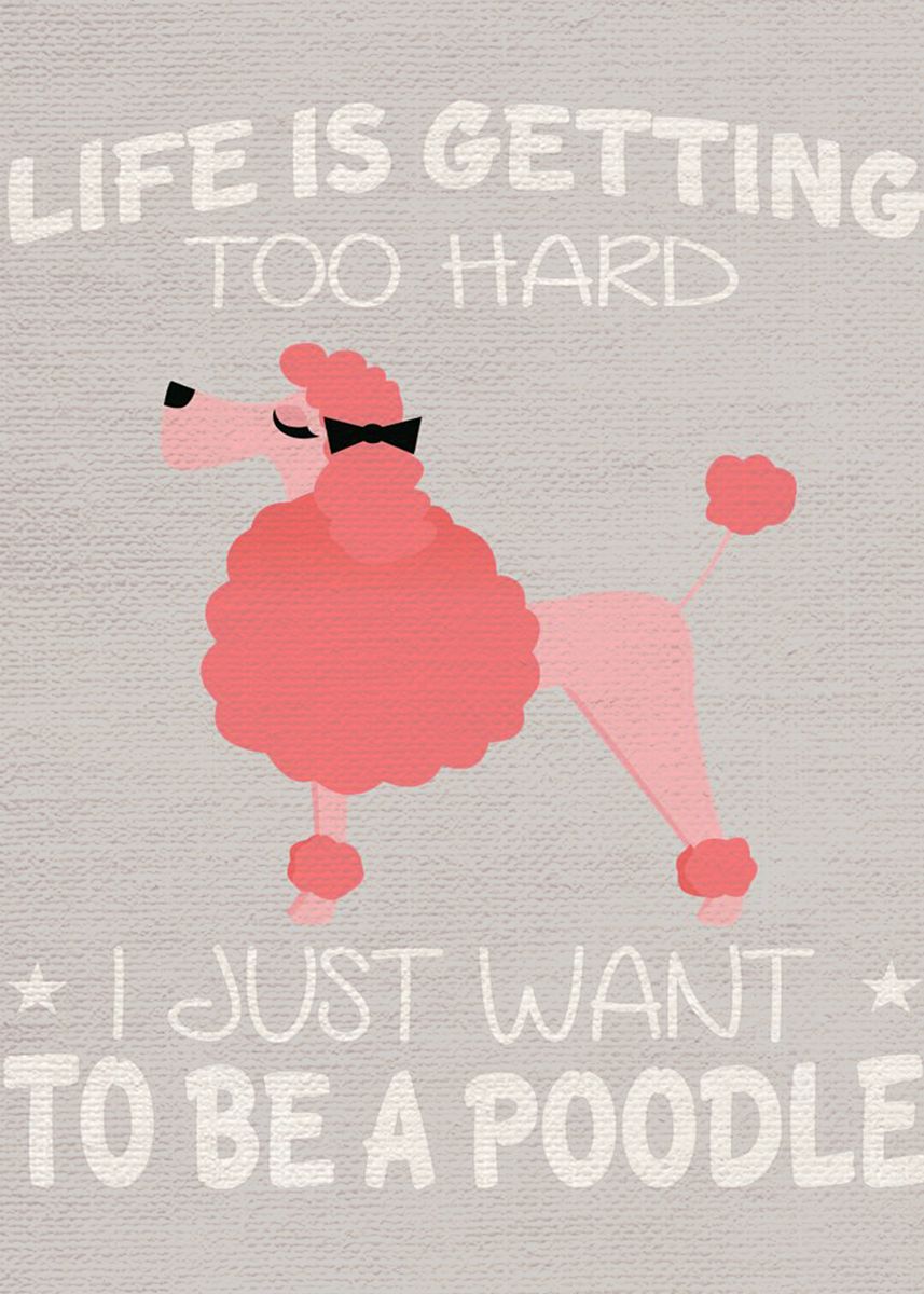 'Poodle Poster' Poster by kun bin | Displate