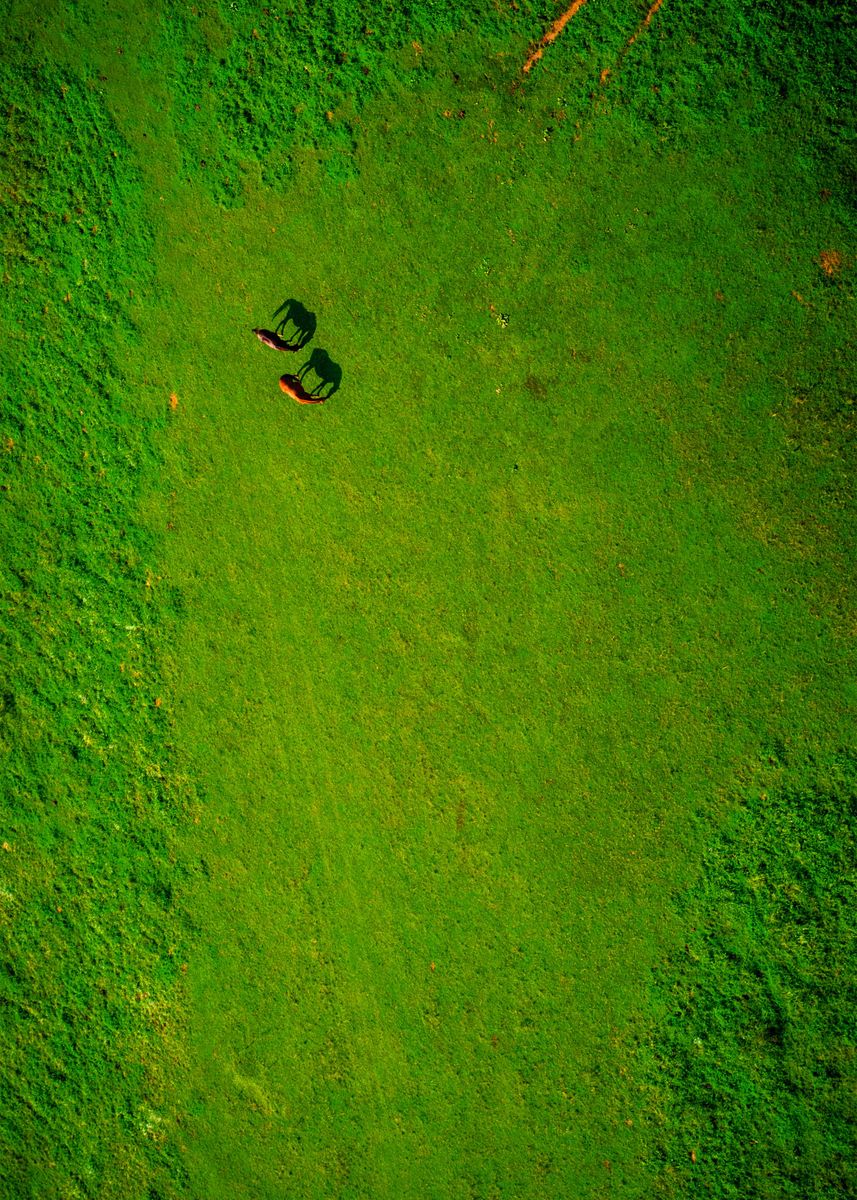 'World From Above' Poster by Stunning Wallpapers | Displate