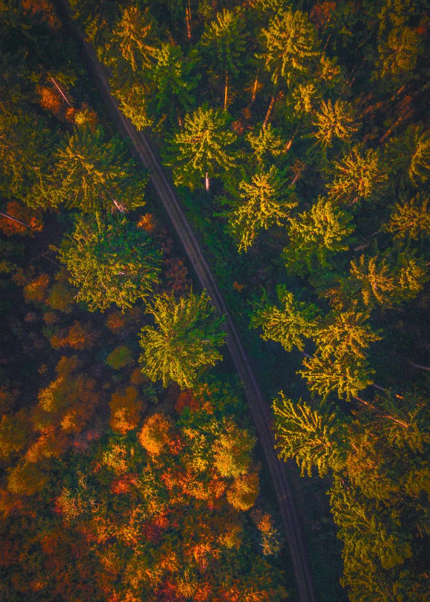 'World From Above' Poster by Stunning Wallpapers | Displate