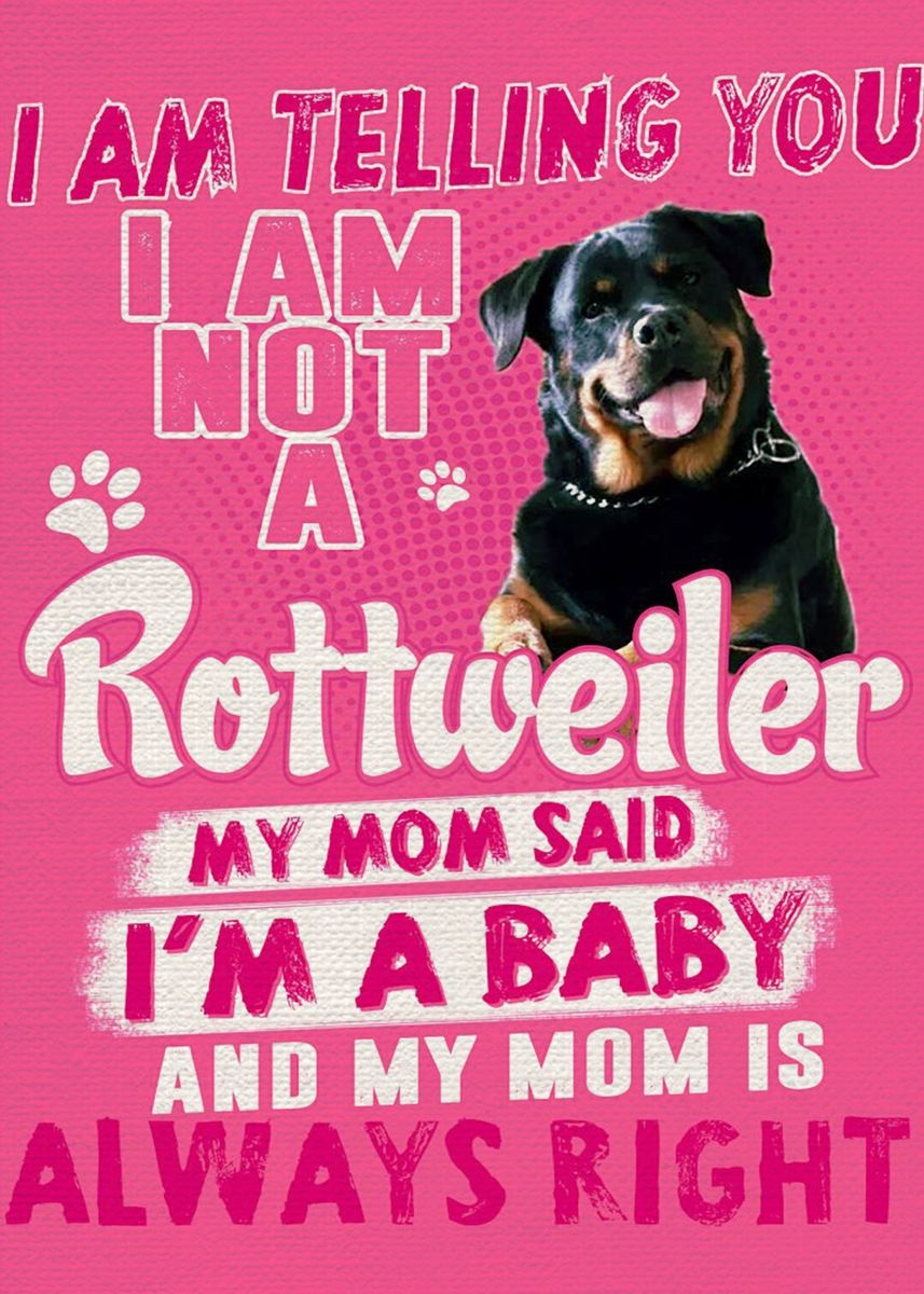 'Rottweiler Posters' Poster, picture, metal print, paint by Katty ...