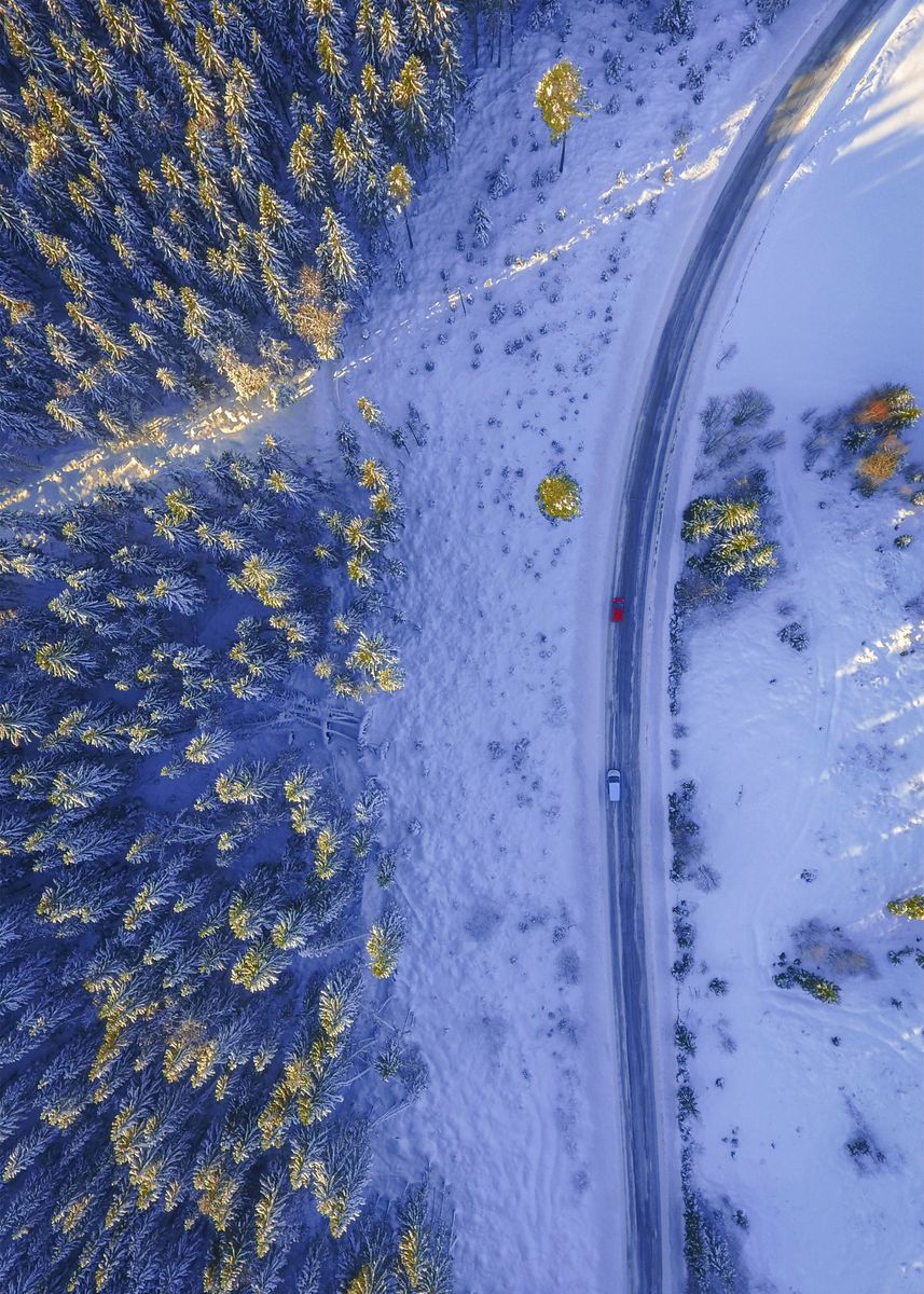 'World From Above' Poster, picture, metal print, paint by Stunning ...