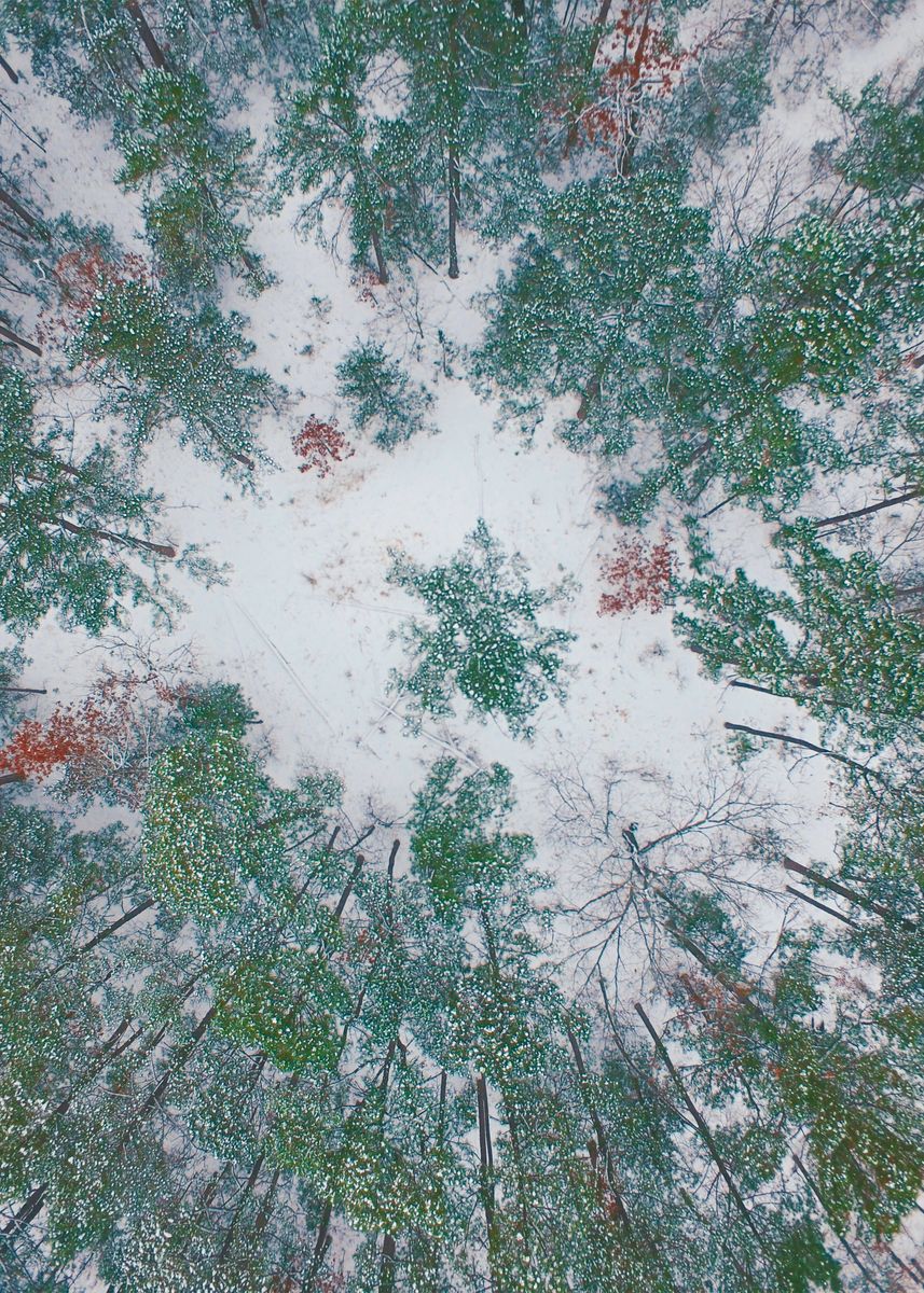 'World From Above' Poster by Stunning Wallpapers | Displate