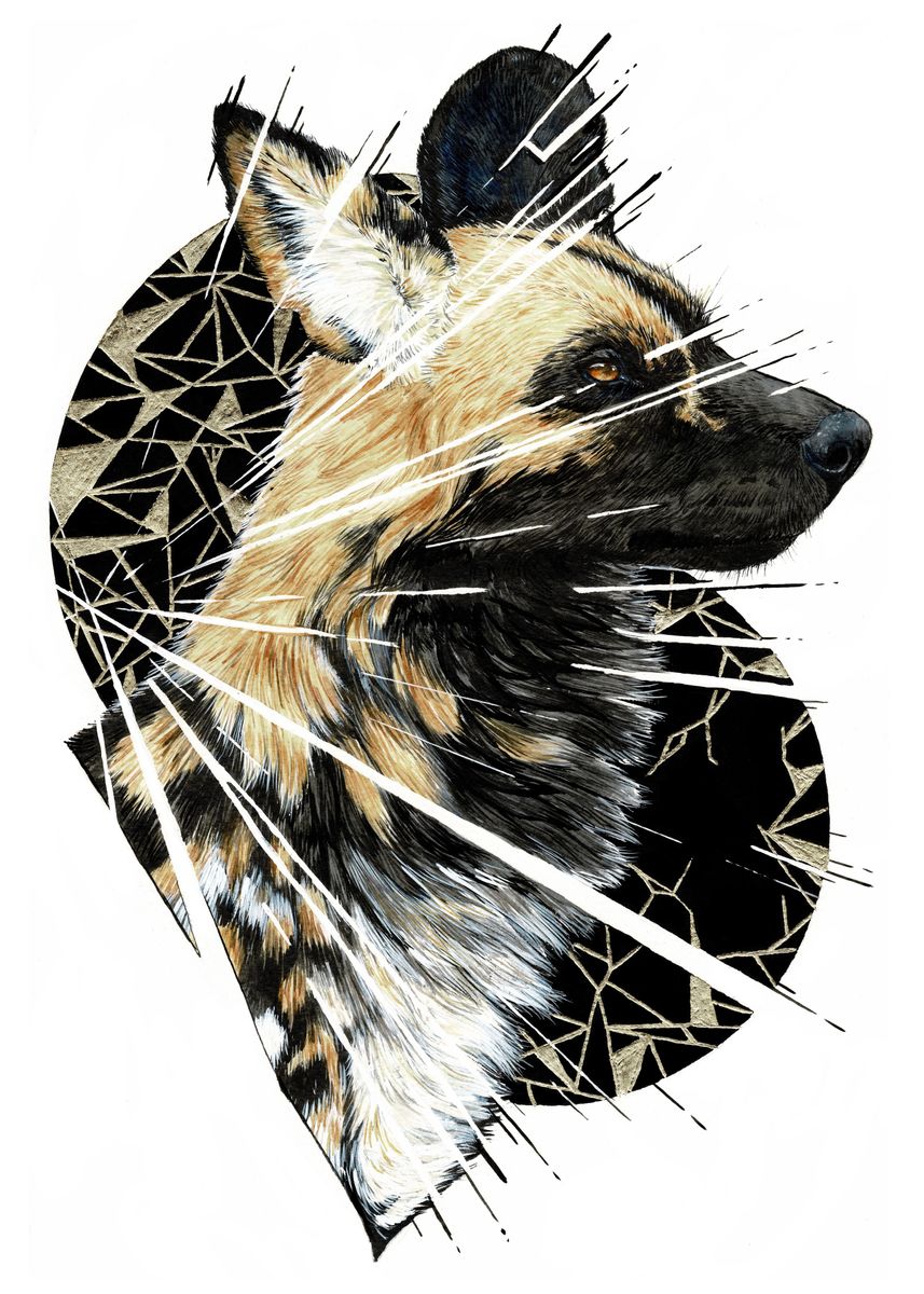 'Shattered African Wild dog' Poster, picture, metal print, paint by ...