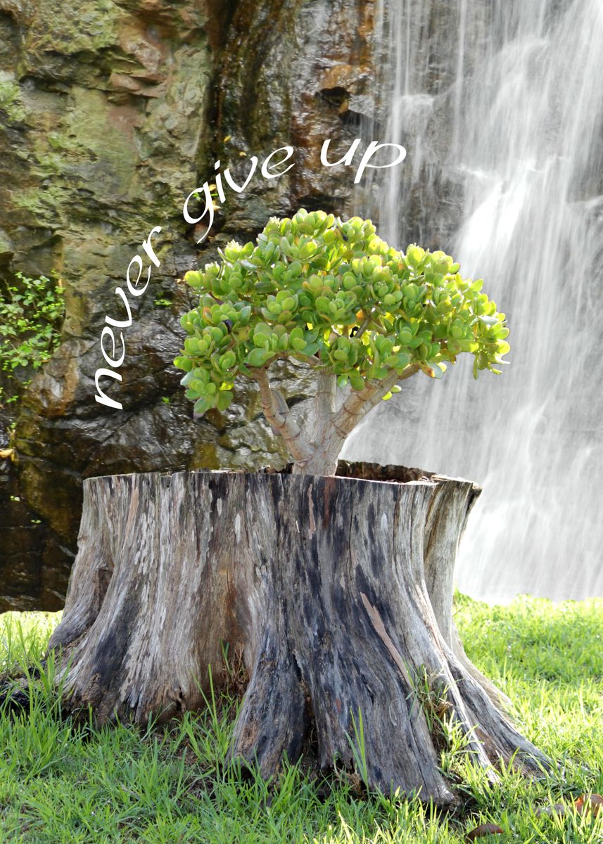 'Never give up' Poster by Charel Bezuidenhout | Displate