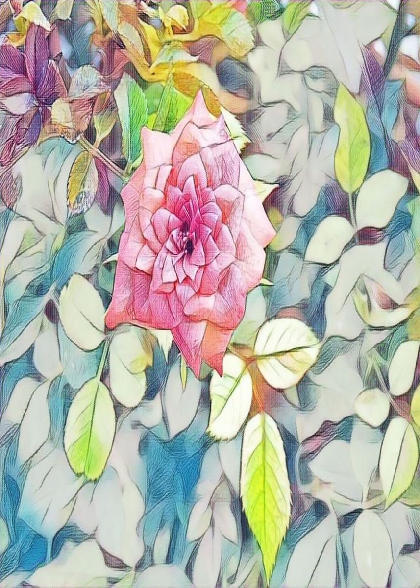 'single pink rose' Poster, picture, metal print, paint by One Creative ...