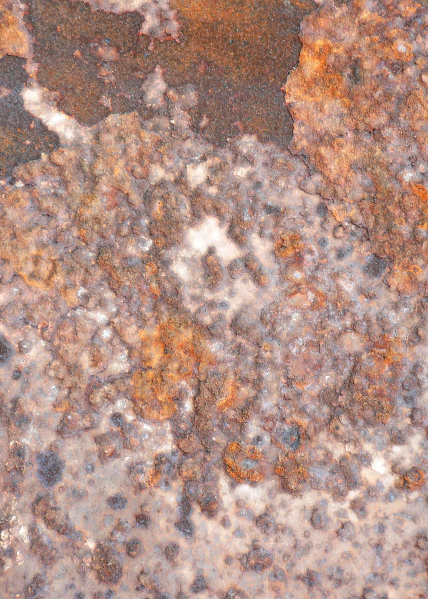 'Rusted plate' Poster, picture, metal print, paint by Charel ...