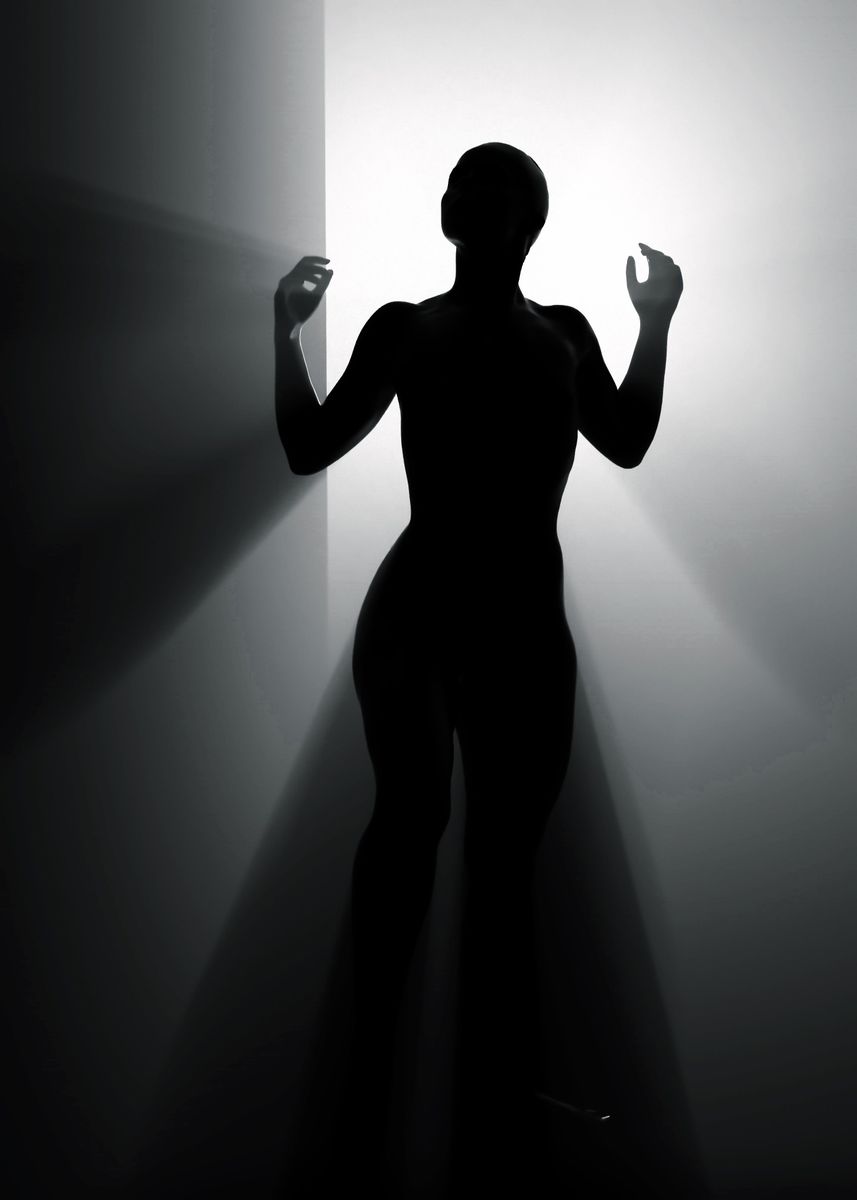 'Shadows and light' Poster, picture, metal print, paint by Aivaras ...