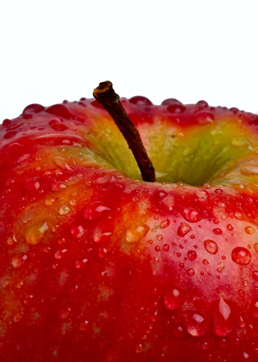 'Red Apple On White' Poster, picture, metal print, paint by Art ...