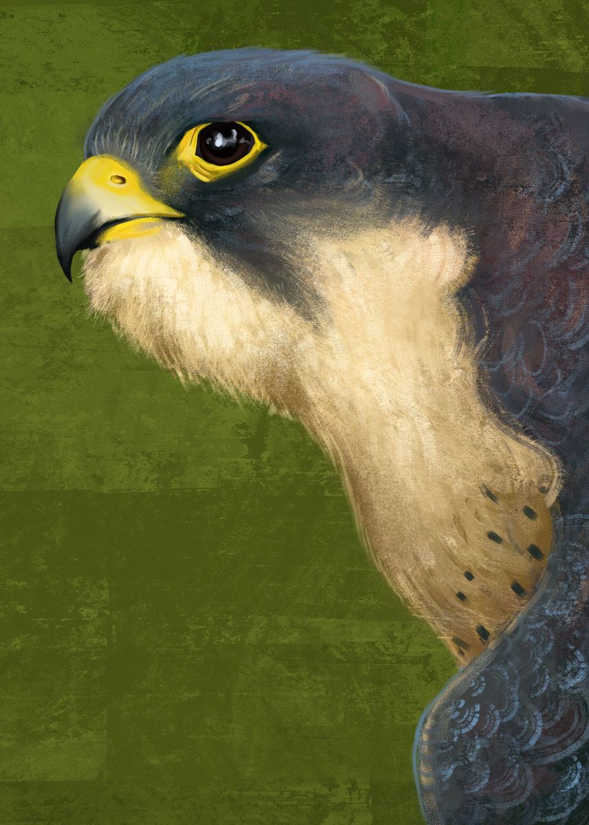 'Falcon' Poster, picture, metal print, paint by Navi Norov | Displate