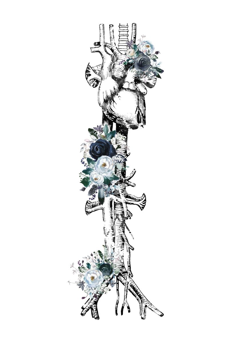 'Aorta vein and heart ' Poster by Erzebet Prikel | Displate