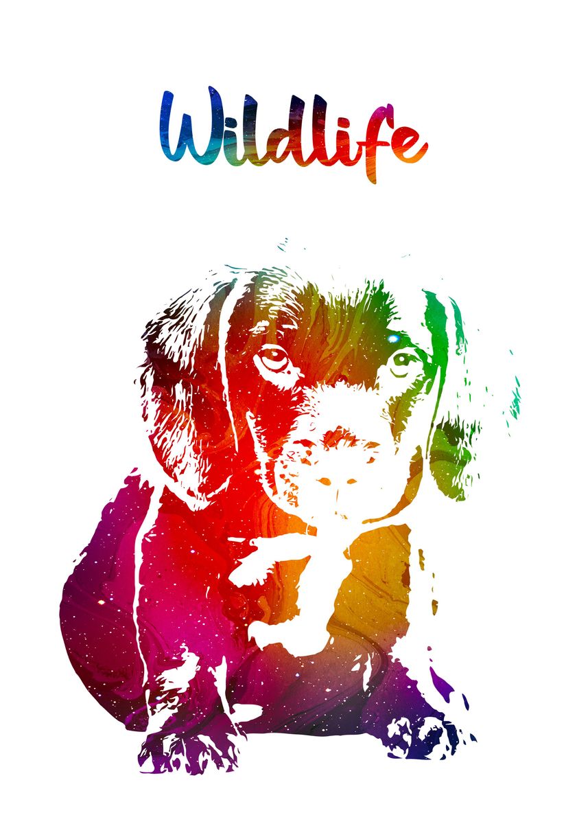 'Dog' Poster, picture, metal print, paint by Printed Artings | Displate