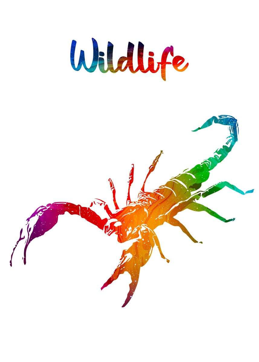 'Scorpion' Poster, picture, metal print, paint by Printed Artings ...