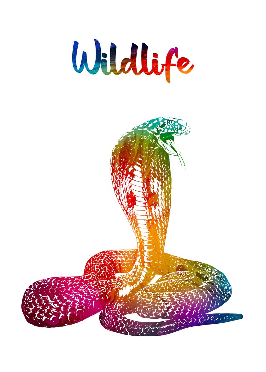 'Cobra' Poster, picture, metal print, paint by Printed Artings | Displate