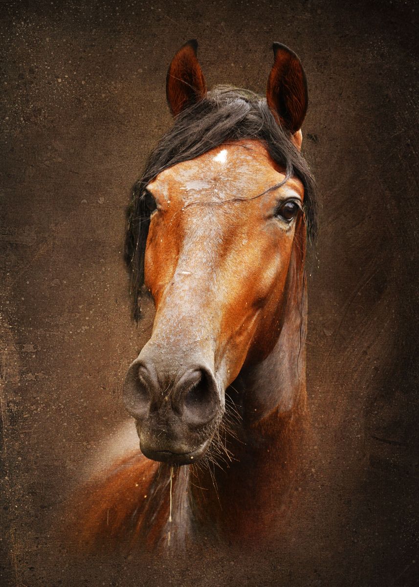 'Andalusian Faraon' Poster, picture, metal print, paint by Nicole Bleck ...