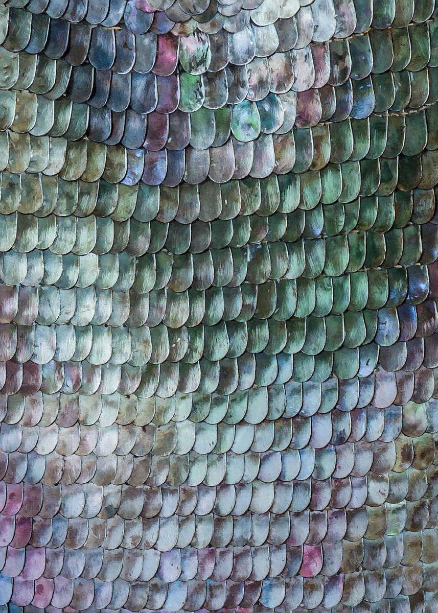 'Metal Scale Mail' Poster by Art Ofphotos | Displate