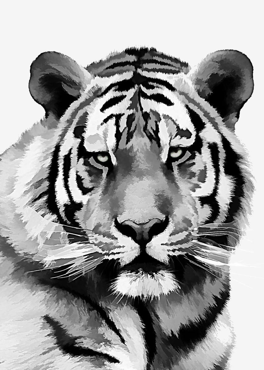 'Tiger face' Poster, picture, metal print, paint by Laureen Raftopulos ...