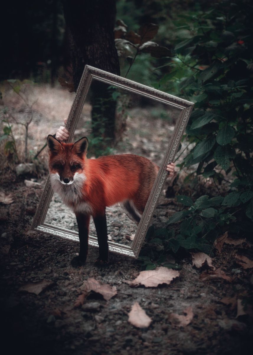 'Magic fox' Poster, picture, metal print, paint by Fabrizio Iacobucci ...