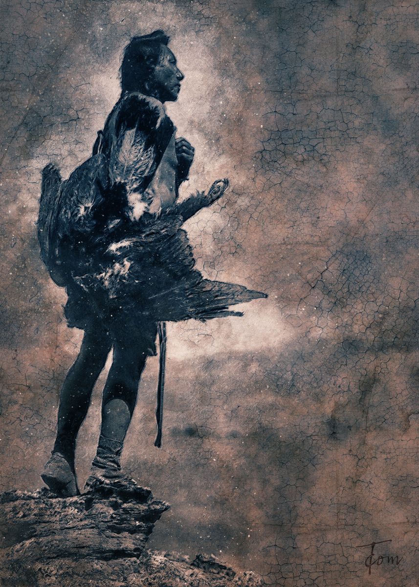 'The eagle catcher' Poster, picture, metal print, paint by Petra ...