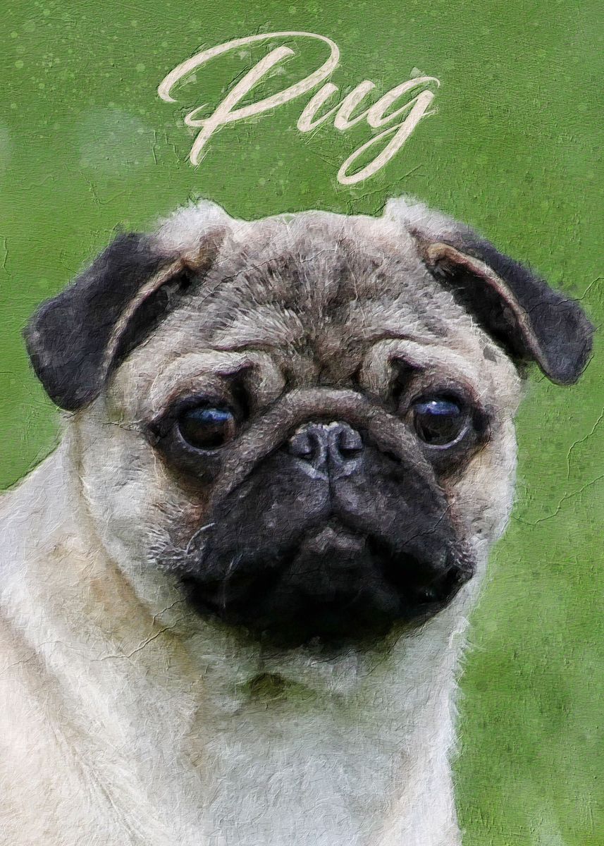'Pug' Poster by Kitty Kit | Displate