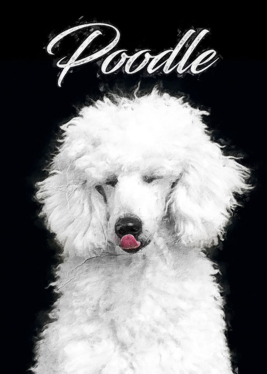 'Poodle dog' Poster, picture, metal print, paint by Kitty Kit | Displate
