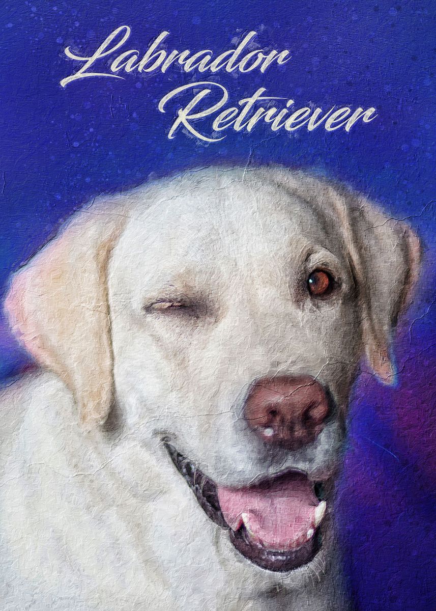 'Labrador Retriever dog' Poster, picture, metal print, paint by Kitty ...