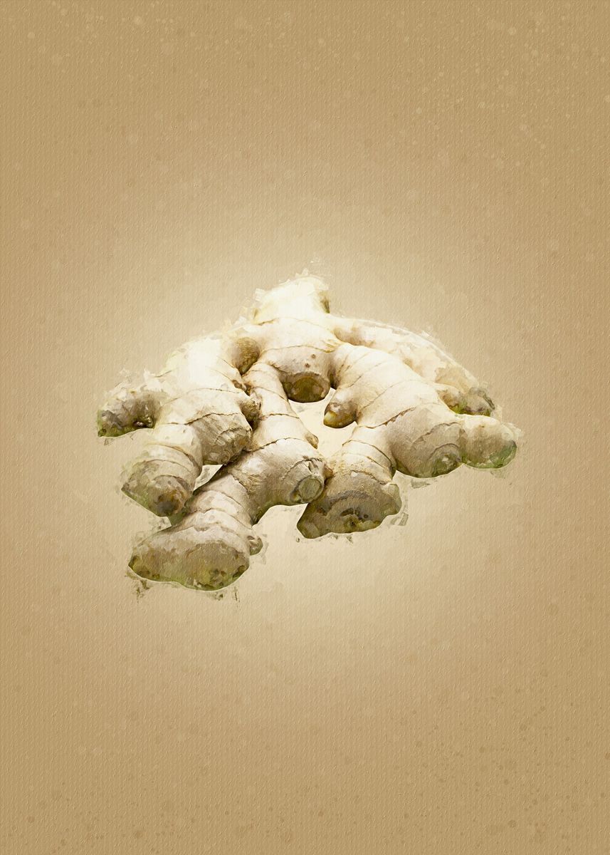 'Ginger' Poster, picture, metal print, paint by Kitty Kit | Displate