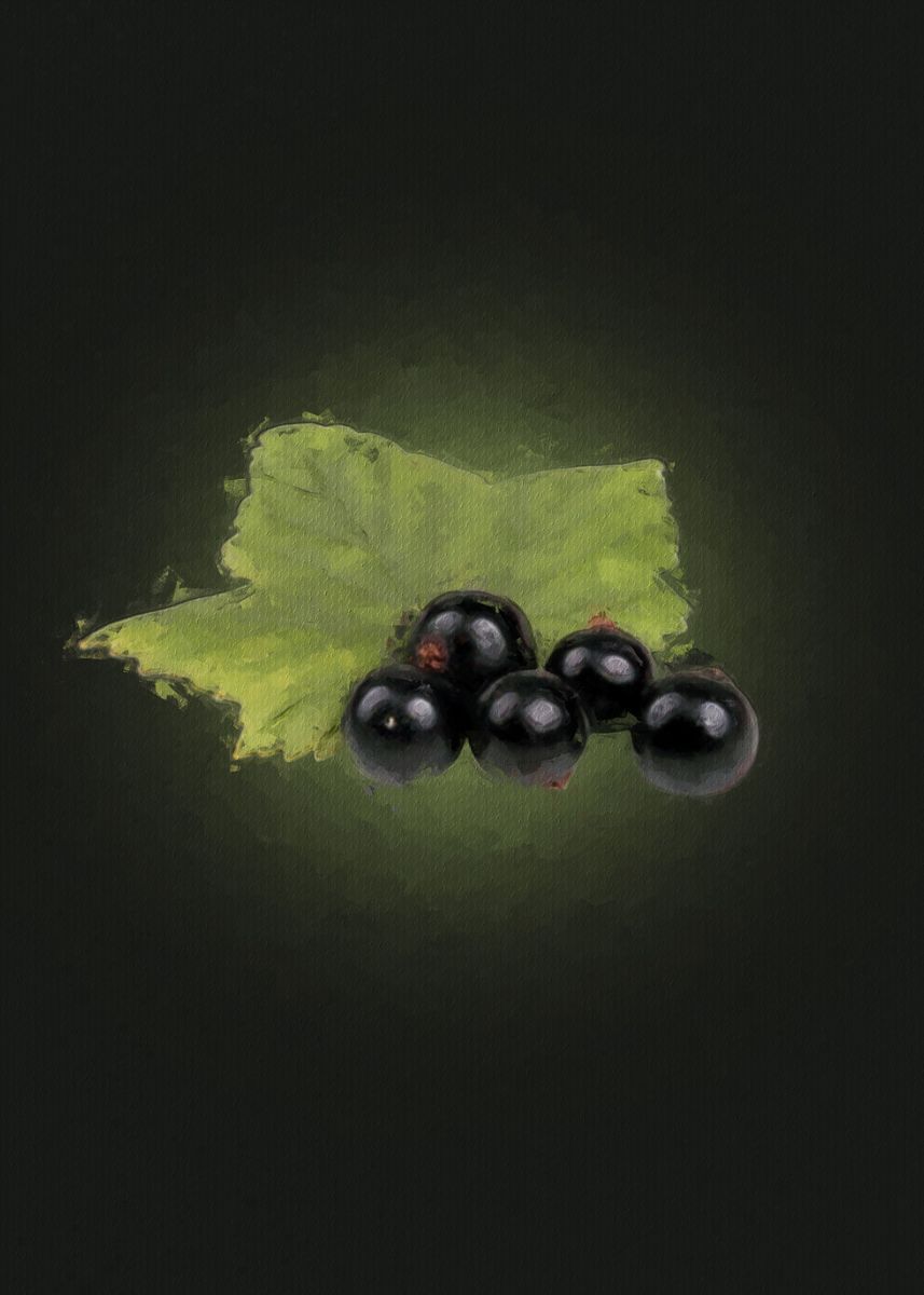 'Black Currant ' Poster by Kitty Kit | Displate