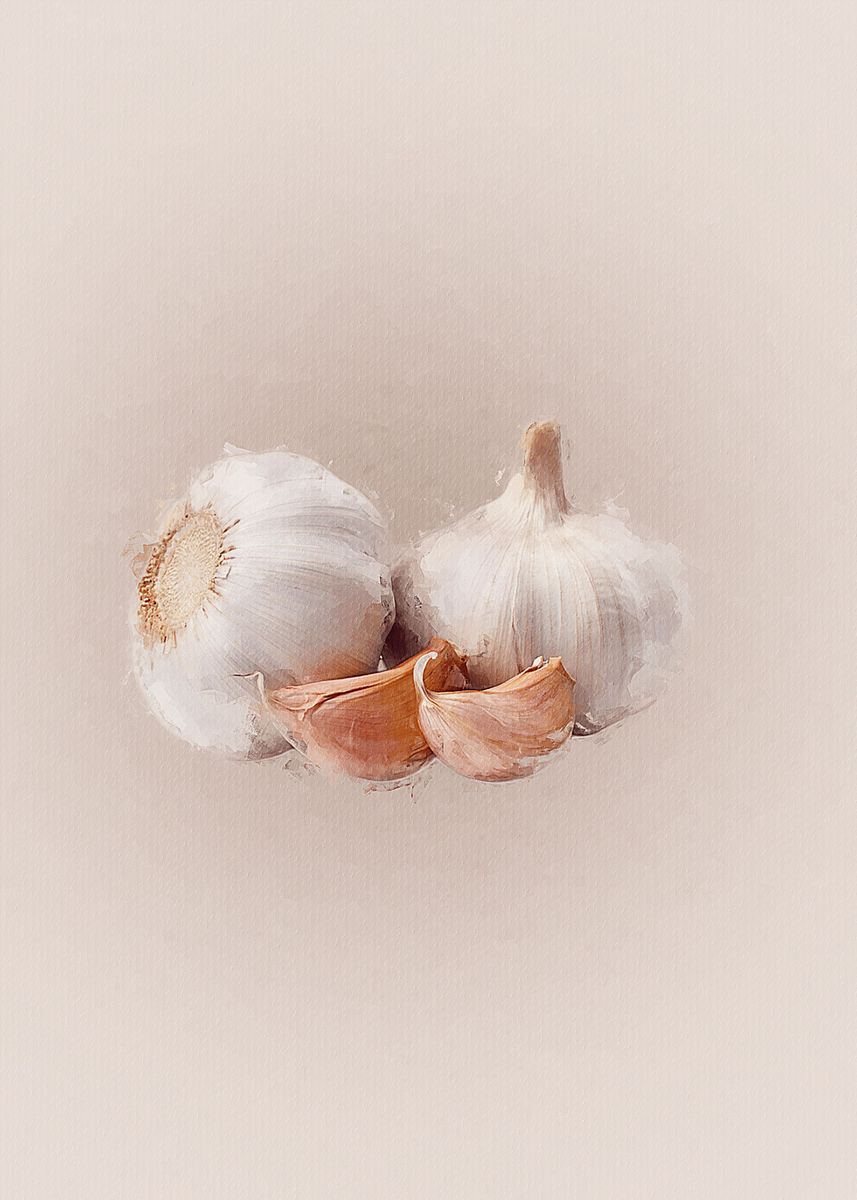 'Garlic' Poster, picture, metal print, paint by Kitty Kit | Displate