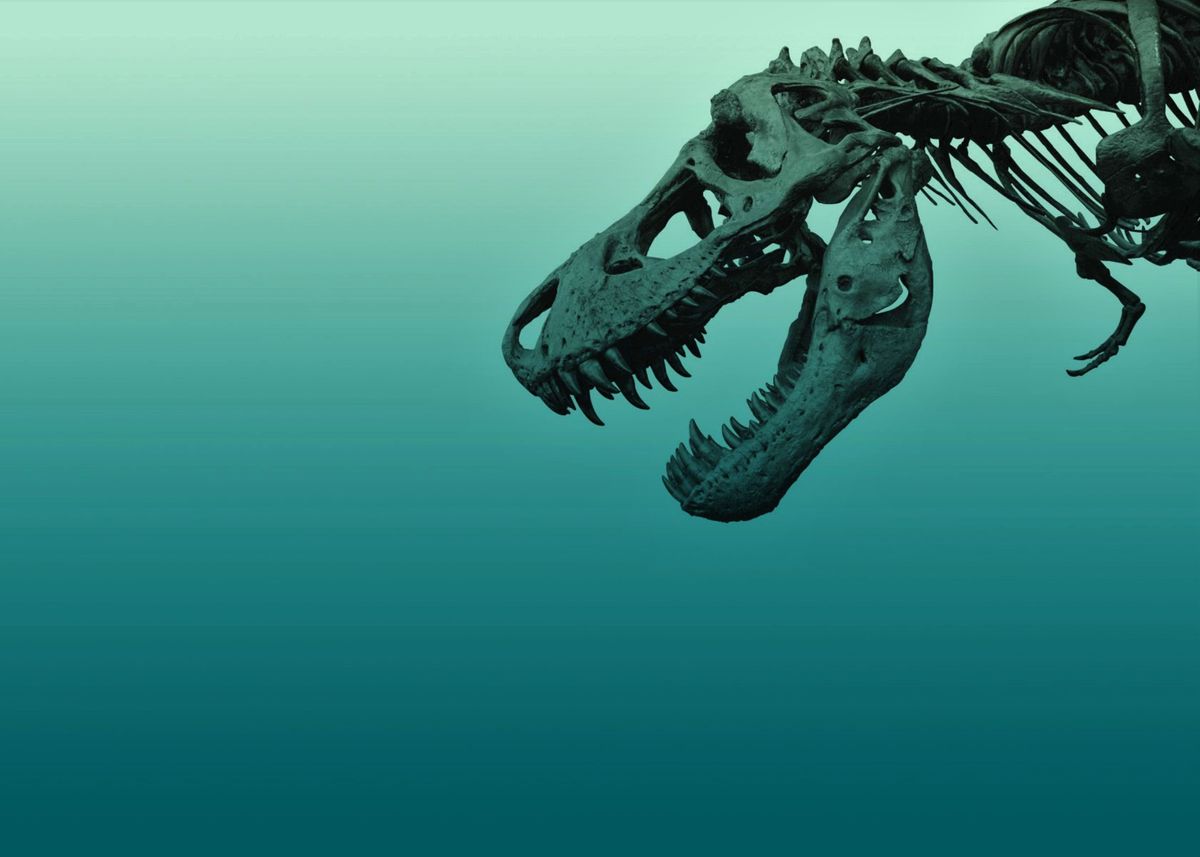 'Remember the past' Poster by Gabriel Auger leblanc | Displate