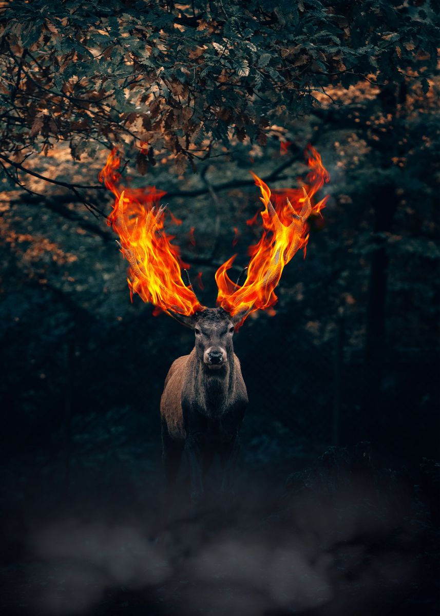 'Stag in flames' Poster, picture, metal print, paint by Modi Szabolcs ...