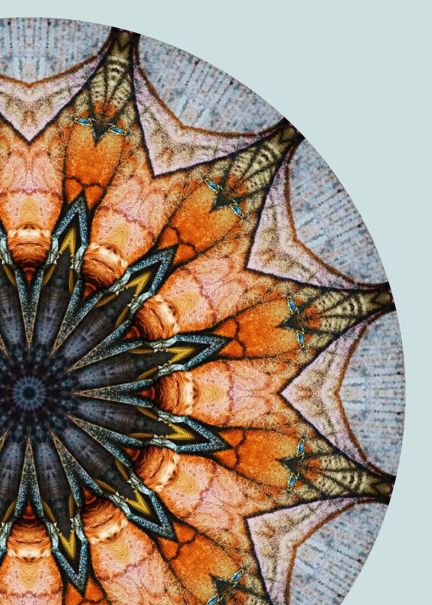 'Moth Mandala IV' Poster by Teresita Gonzalez-Crespo | Displate