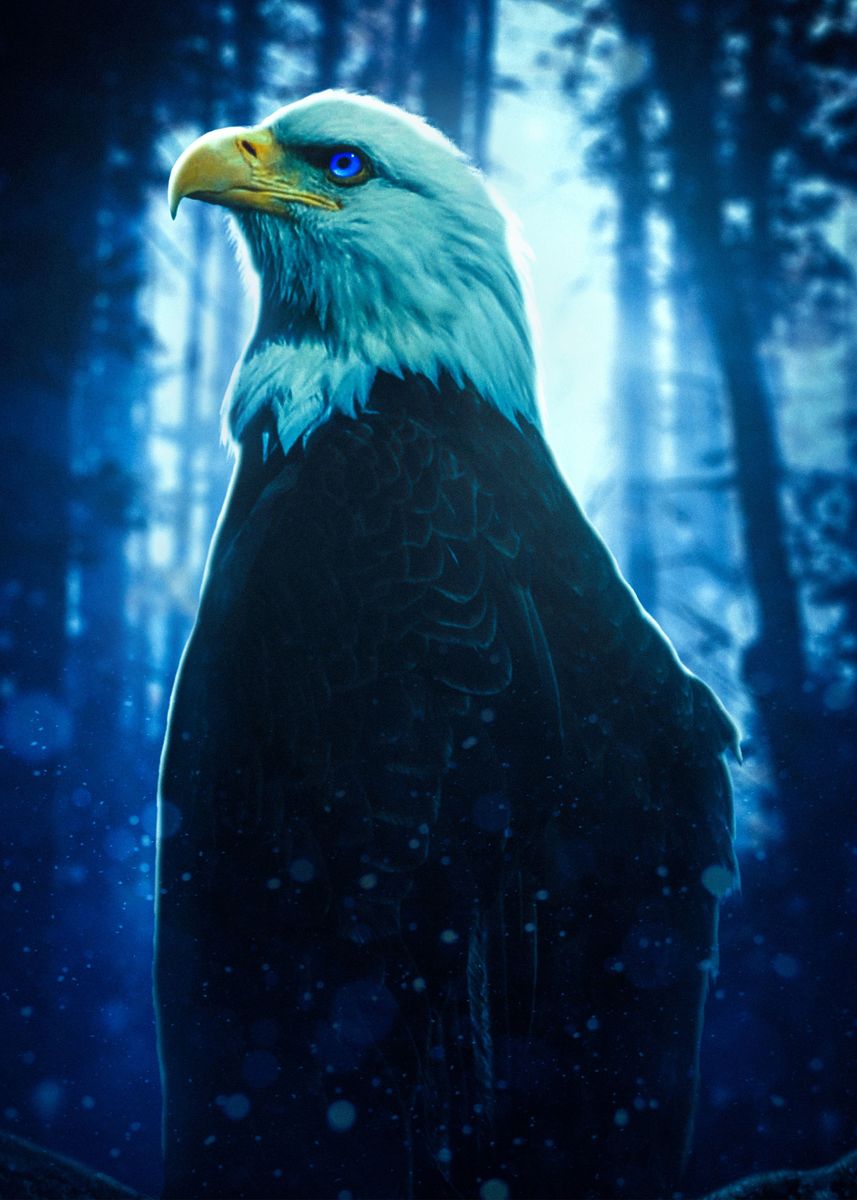 'Magical Eagle Art' Poster, picture, metal print, paint by Edgars Zunda ...