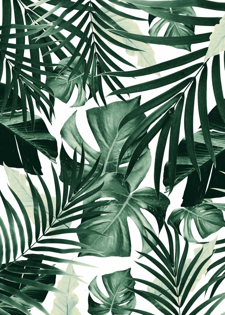 'Tropical Jungle Leaves 4' Poster, picture, metal print, paint by Anita ...