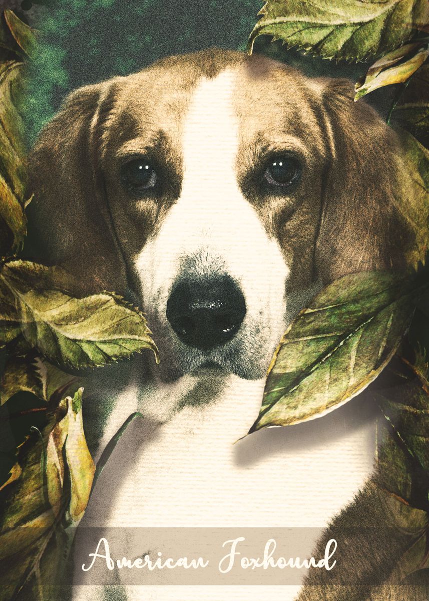 'American Foxhound' Poster, picture, metal print, paint by Mito Vute ...