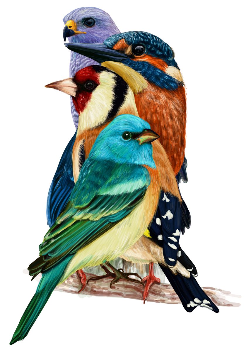 'Row of Birds' Poster, picture, metal print, paint by Kedadria Abdeslam ...