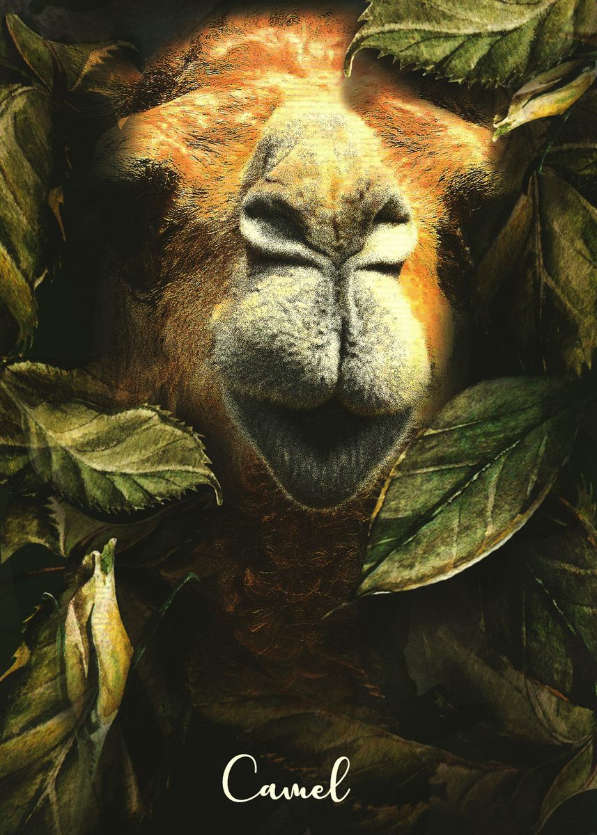 'Camel' Poster, picture, metal print, paint by Mito Vute | Displate