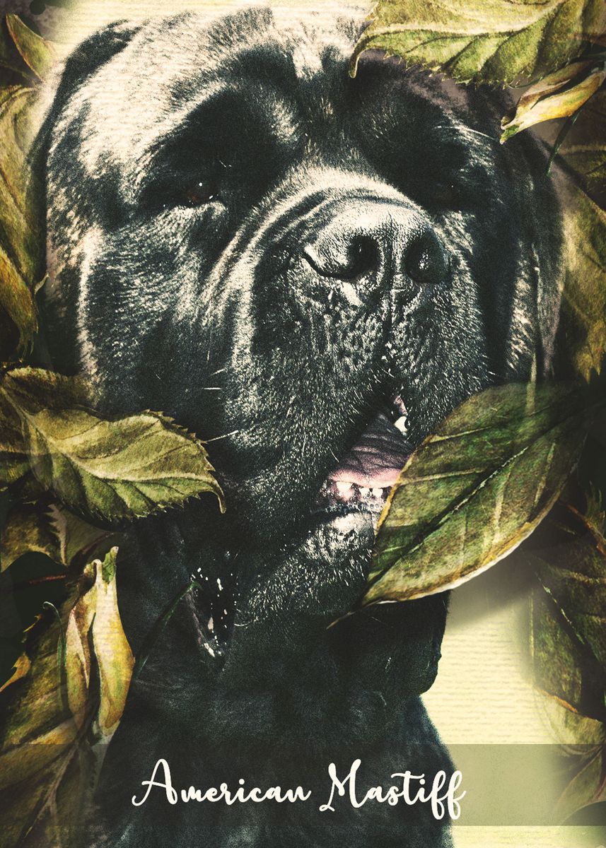'American Mastiff' Poster by Mito Vute | Displate