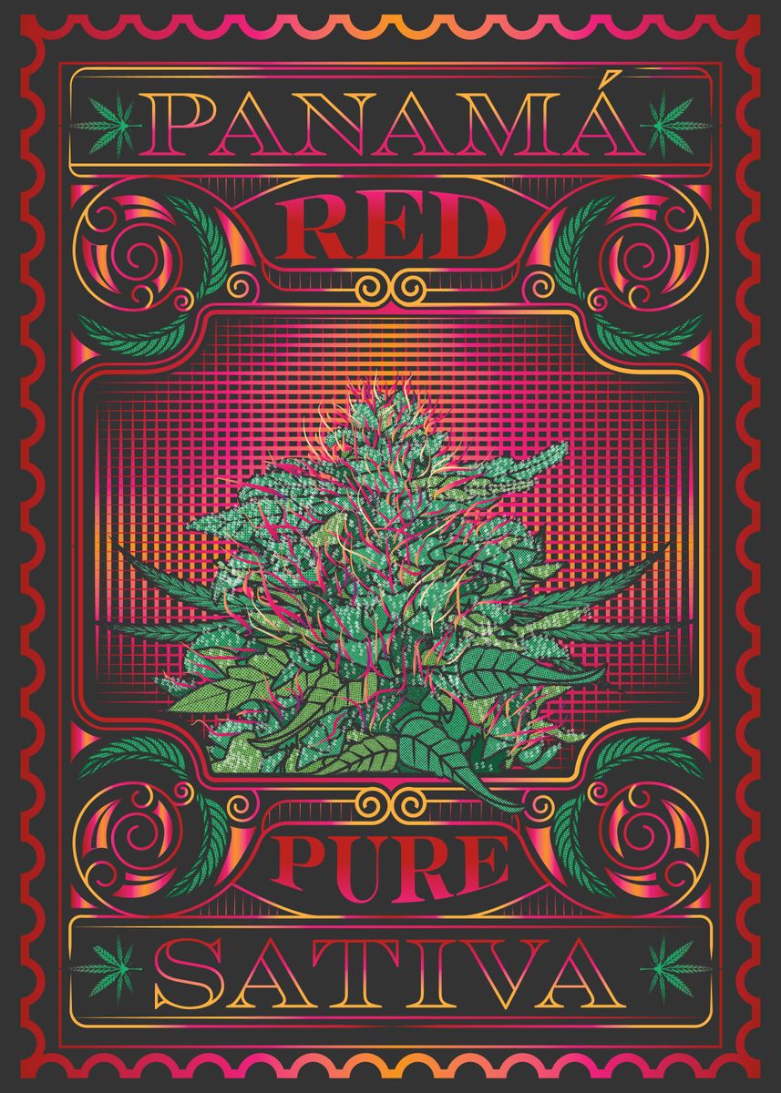 'Panama Red' Poster, picture, metal print, paint by TerpeneTom | Displate