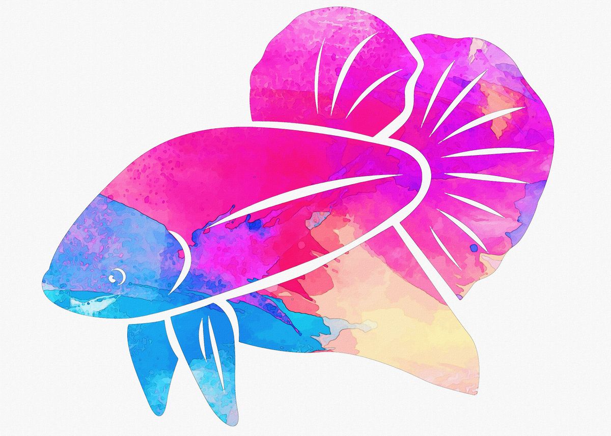 'Betta Fish blue head' Poster by Aurora art work | Displate