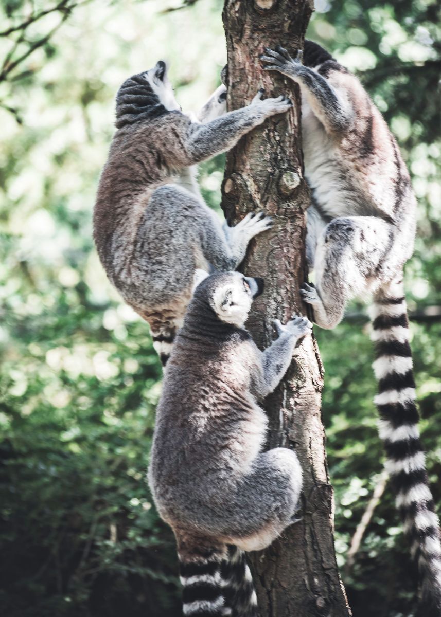 'All Together Now' Poster, picture, metal print, paint by James Galler ...