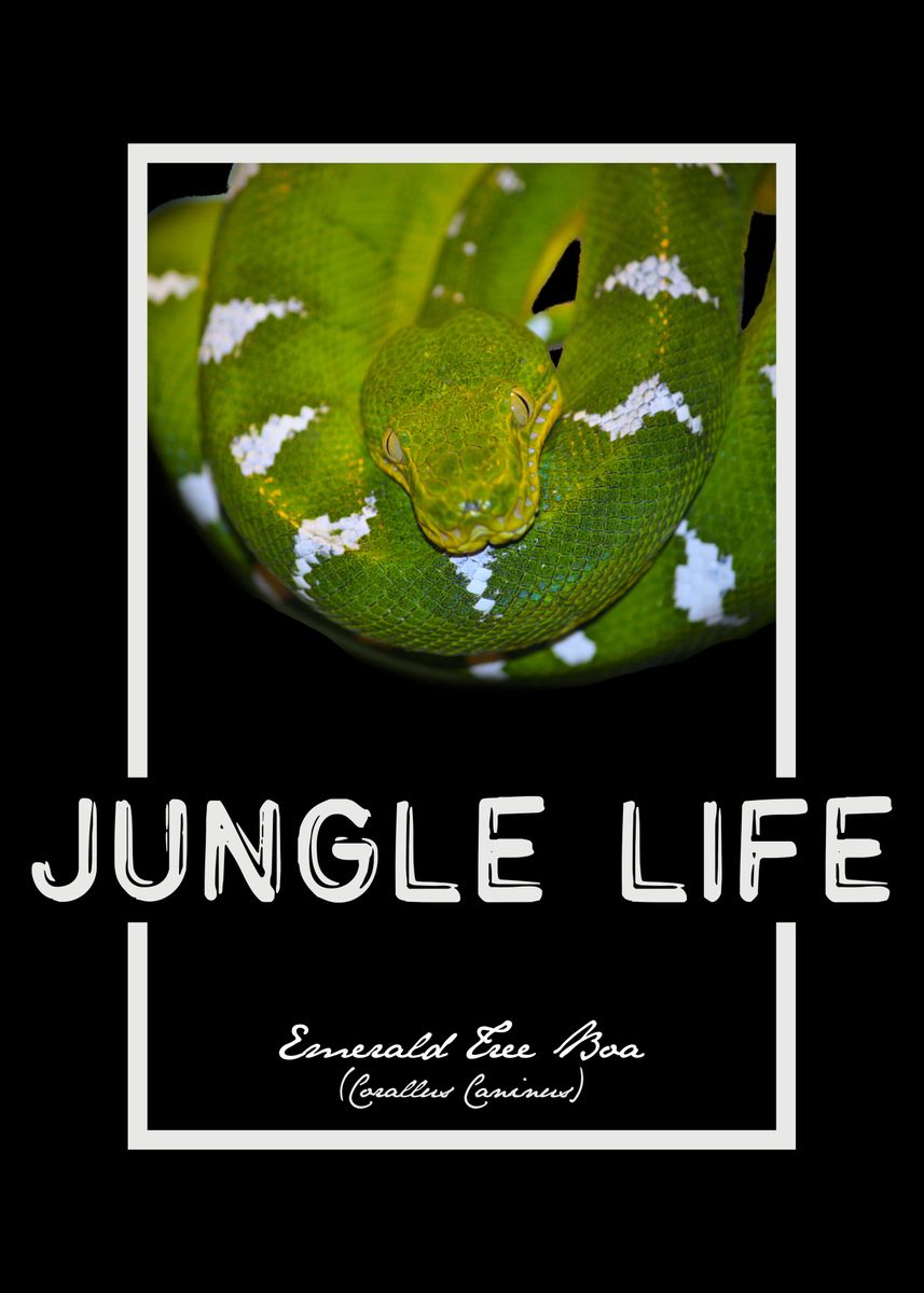 'Emerald Tree Boa Jungle' Poster by Jon Alderman | Displate