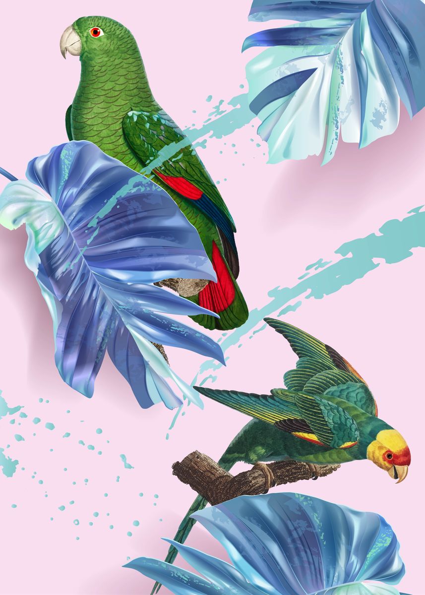 'Tropical Birds 05' Poster, picture, metal print, paint by Out of Box ...