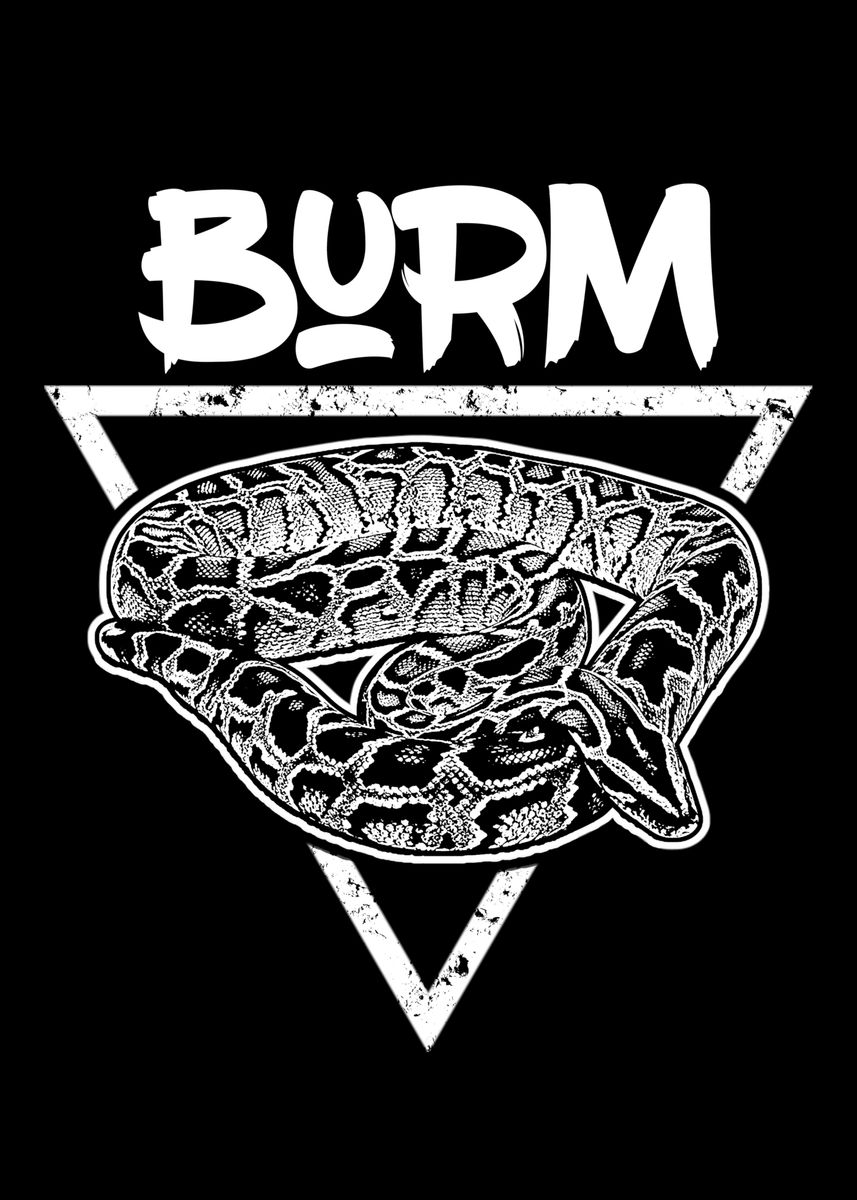 'Burmese Python Urban' Poster, picture, metal print, paint by Jon ...