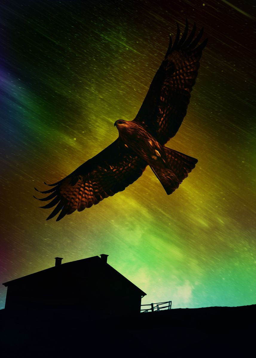'Colorized falcon' Poster, picture, metal print, paint by BasseTheBad ...