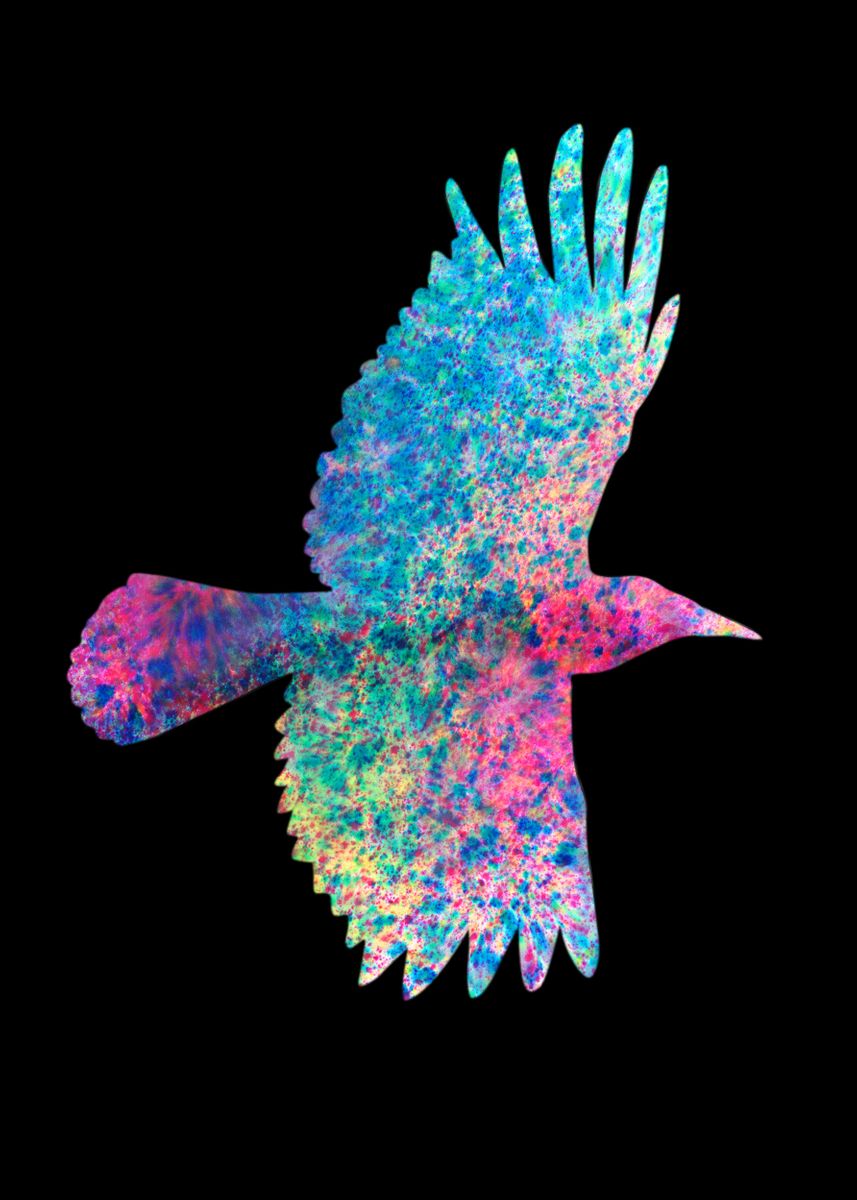 'Color crow' Poster, picture, metal print, paint by Bianca Wisseloo ...