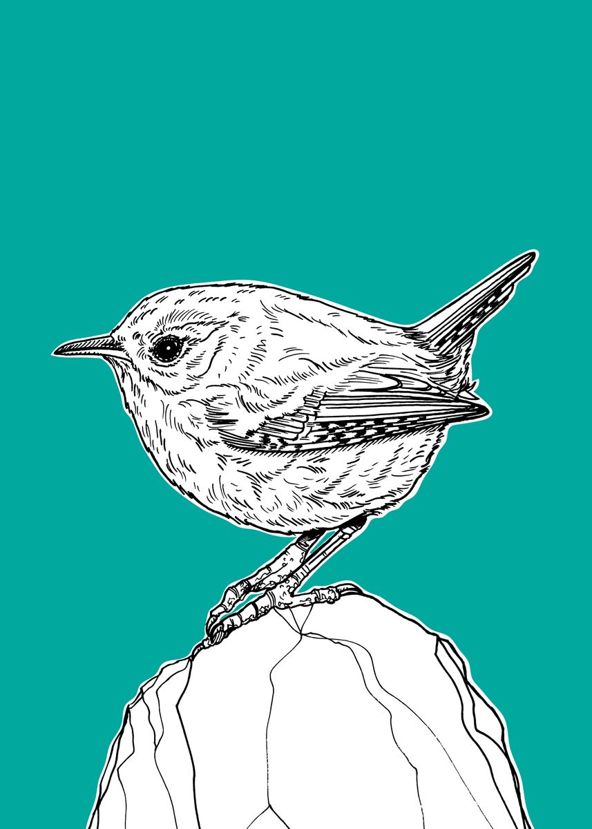 'Wren Bird' Poster by Adam Regester | Displate